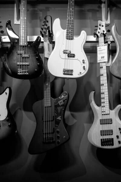 Official Website of The Why Store for News, Shows, Music, Videos, Live ...